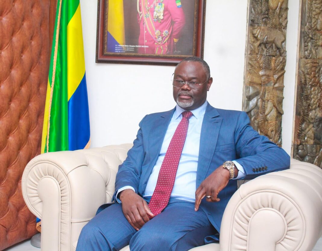 Secteur minier : point sur la relance du projet Mabounié - Economie ...